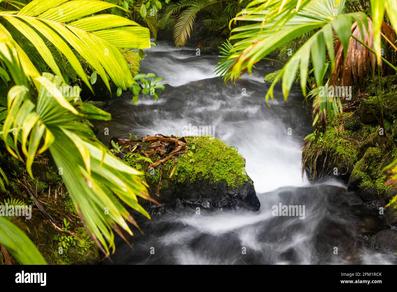 Thermal-water pools and non-pumped (free-flowing) hot spring rivers at ...
