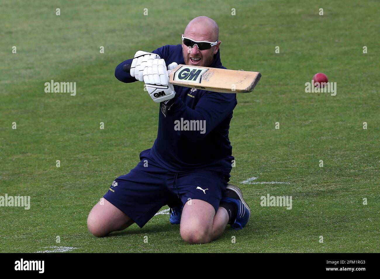 Andrew gale yorkshire 2019 hi-res stock photography and images - Alamy