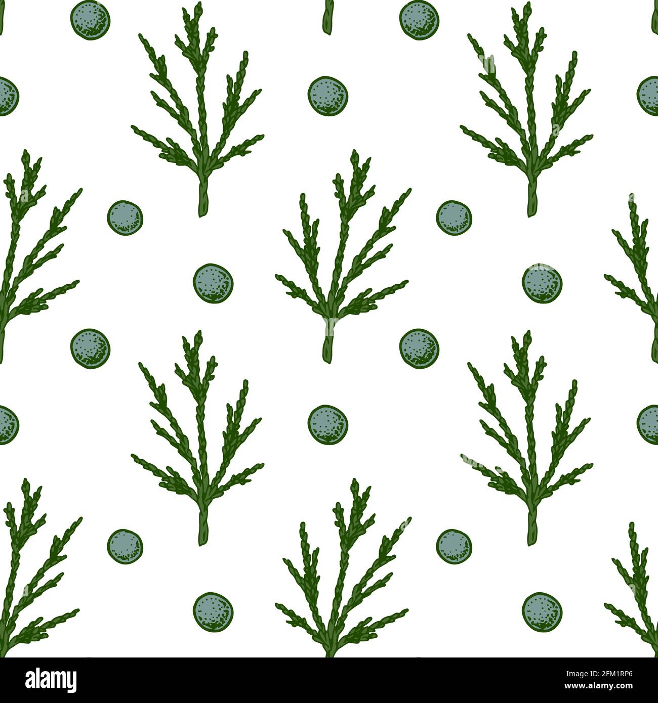 Hand drawn seamless pattern with green juniper branches with berries ...
