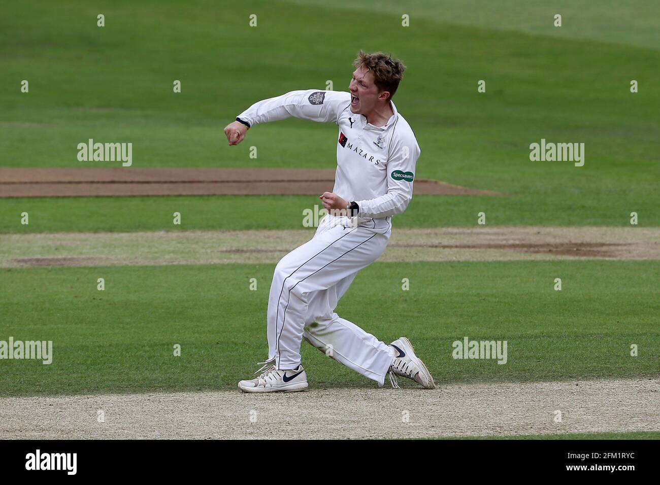 Dom Bess of Yorkshire celebrates taking the wicket of Nick Browne ...