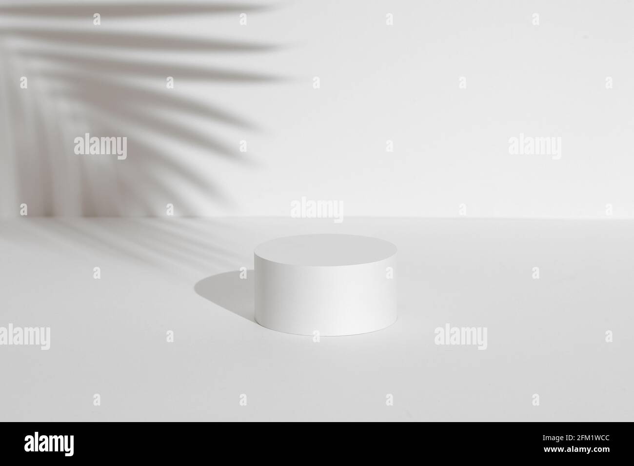 White Product Photography Base Background Mockup Template Stock Photo ...