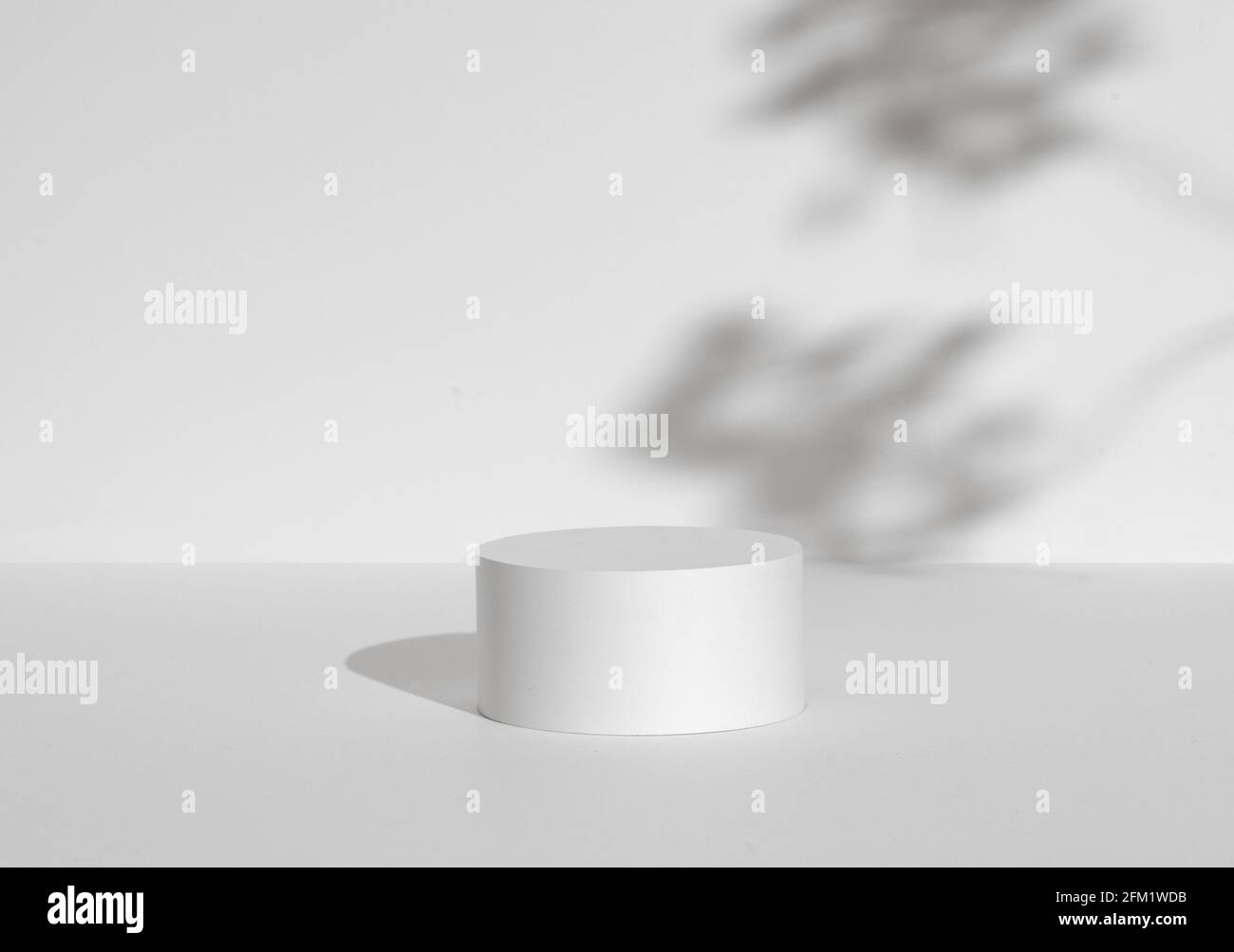 White Product Photography Base Background Mockup Template Stock Photo ...