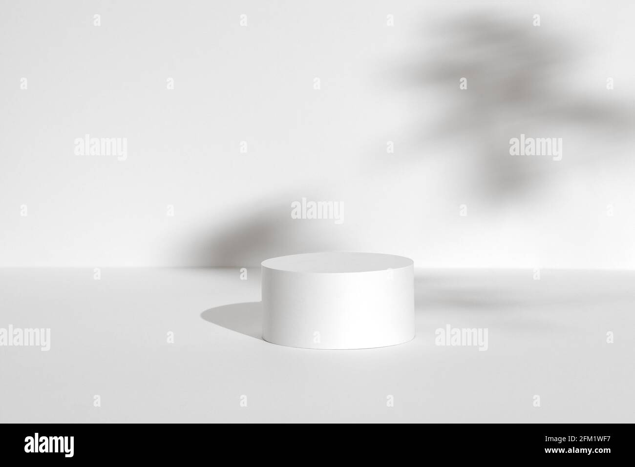 White Product Photography Base Background Mockup Template Stock Photo ...