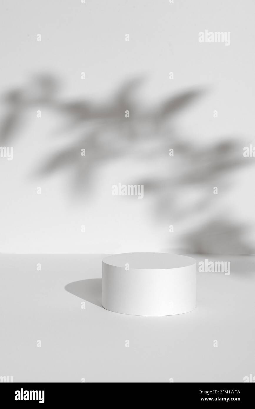 White Product Photography Base Background Mockup Template Stock Photo ...