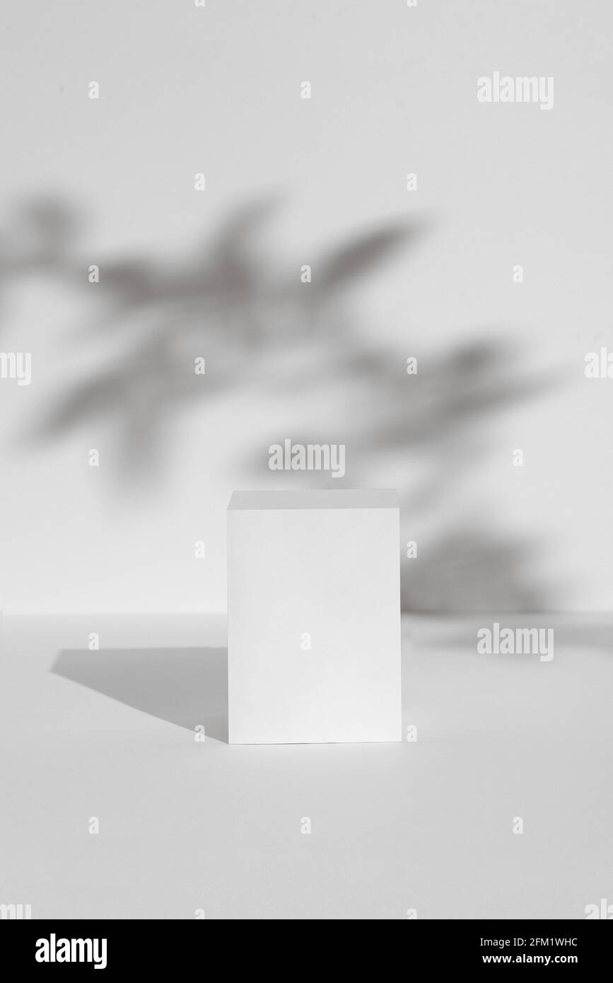 White Product Photography Base Background Mockup Template Stock Photo ...