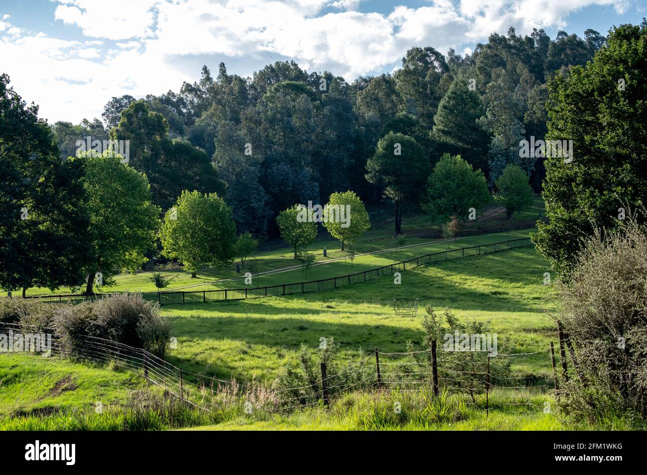A farm surrounded by trees Stock Photo - Alamy