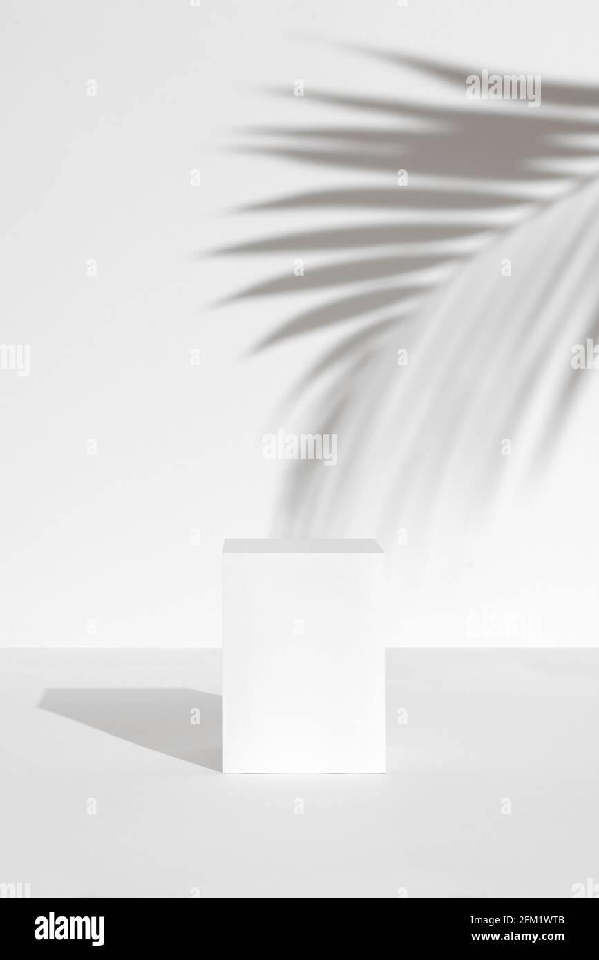 White Product Photography Base Background Mockup Template Stock Photo ...