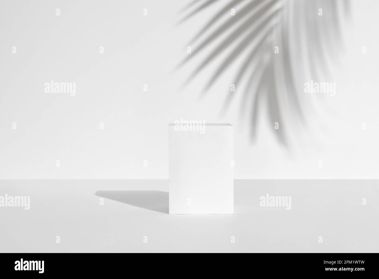 White Product Photography Base Background Mockup Template Stock Photo ...