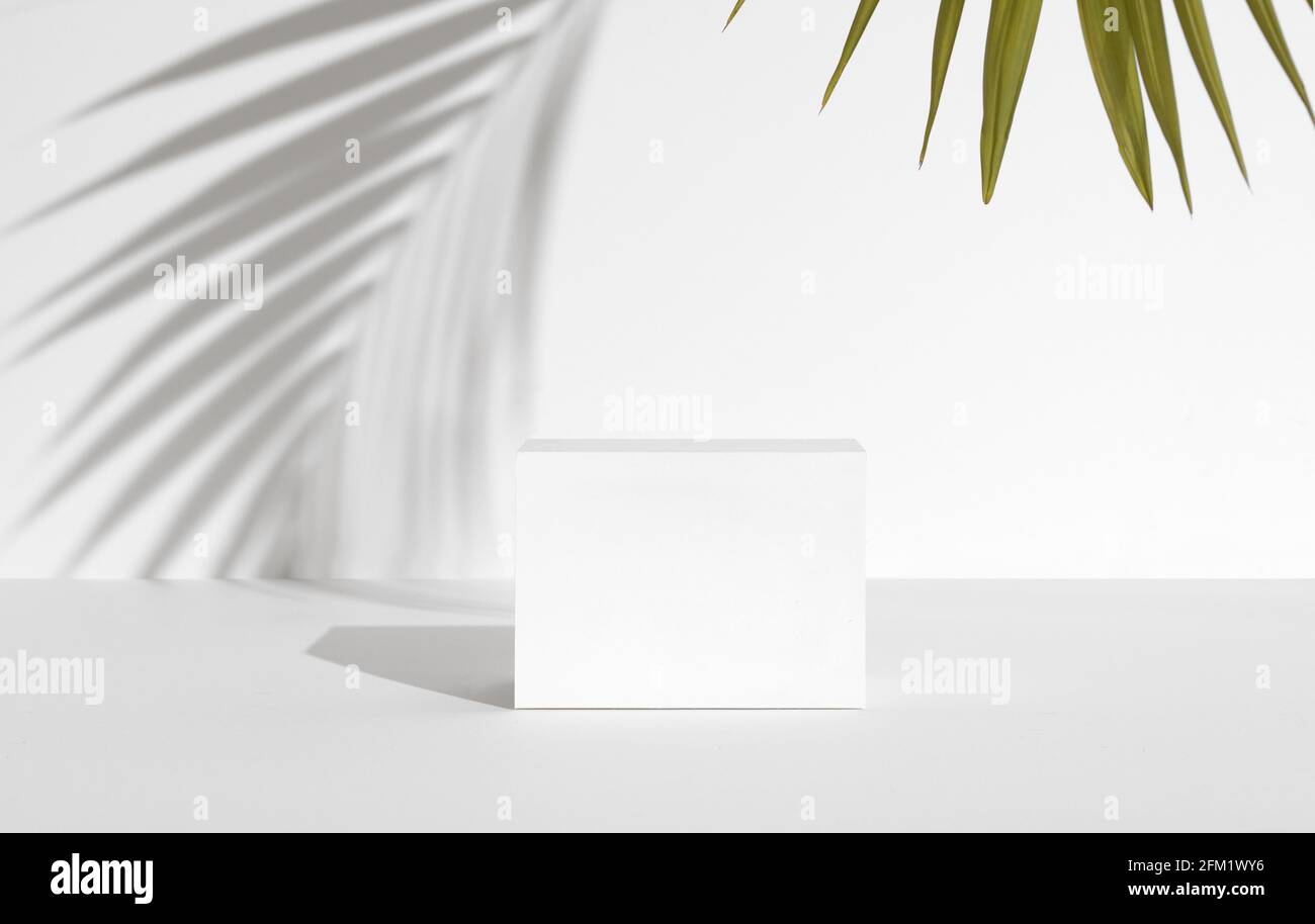 White Product Photography Base Background Mockup Template Stock Photo ...