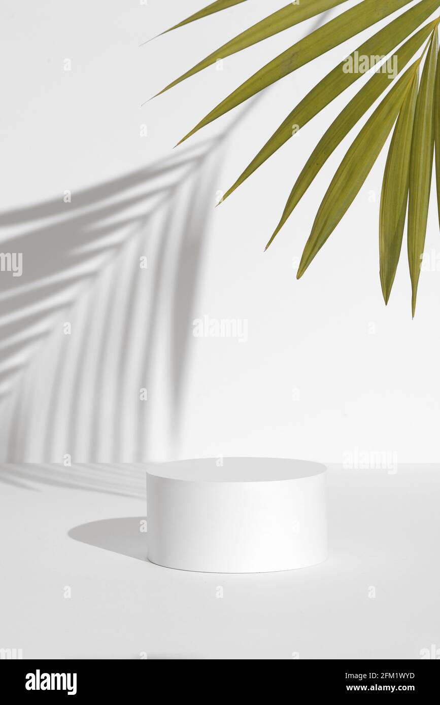White Product Photography Base Background Mockup Template Stock Photo ...