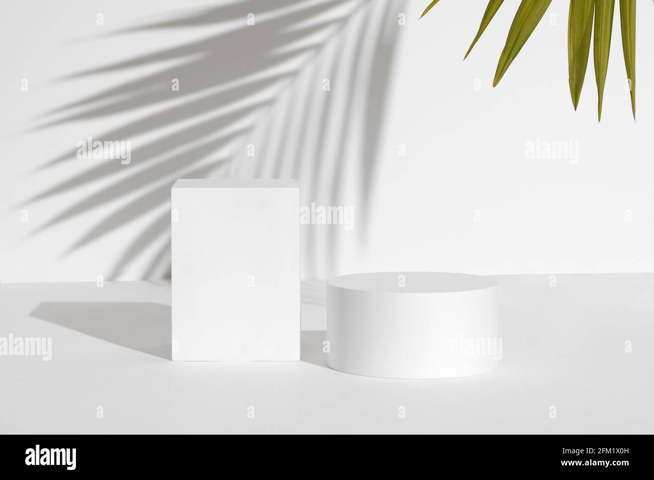 White Product Photography Base Background Mockup Template Stock Photo ...