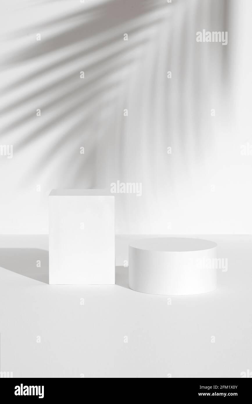 White Product Photography Base Background Mockup Template Stock Photo ...