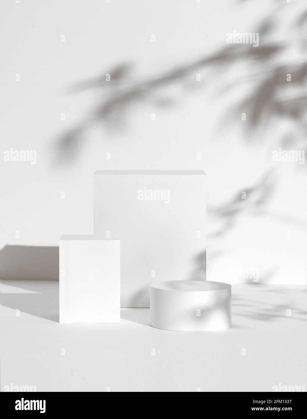 White Product Photography Base Background Mockup Template Stock Photo ...