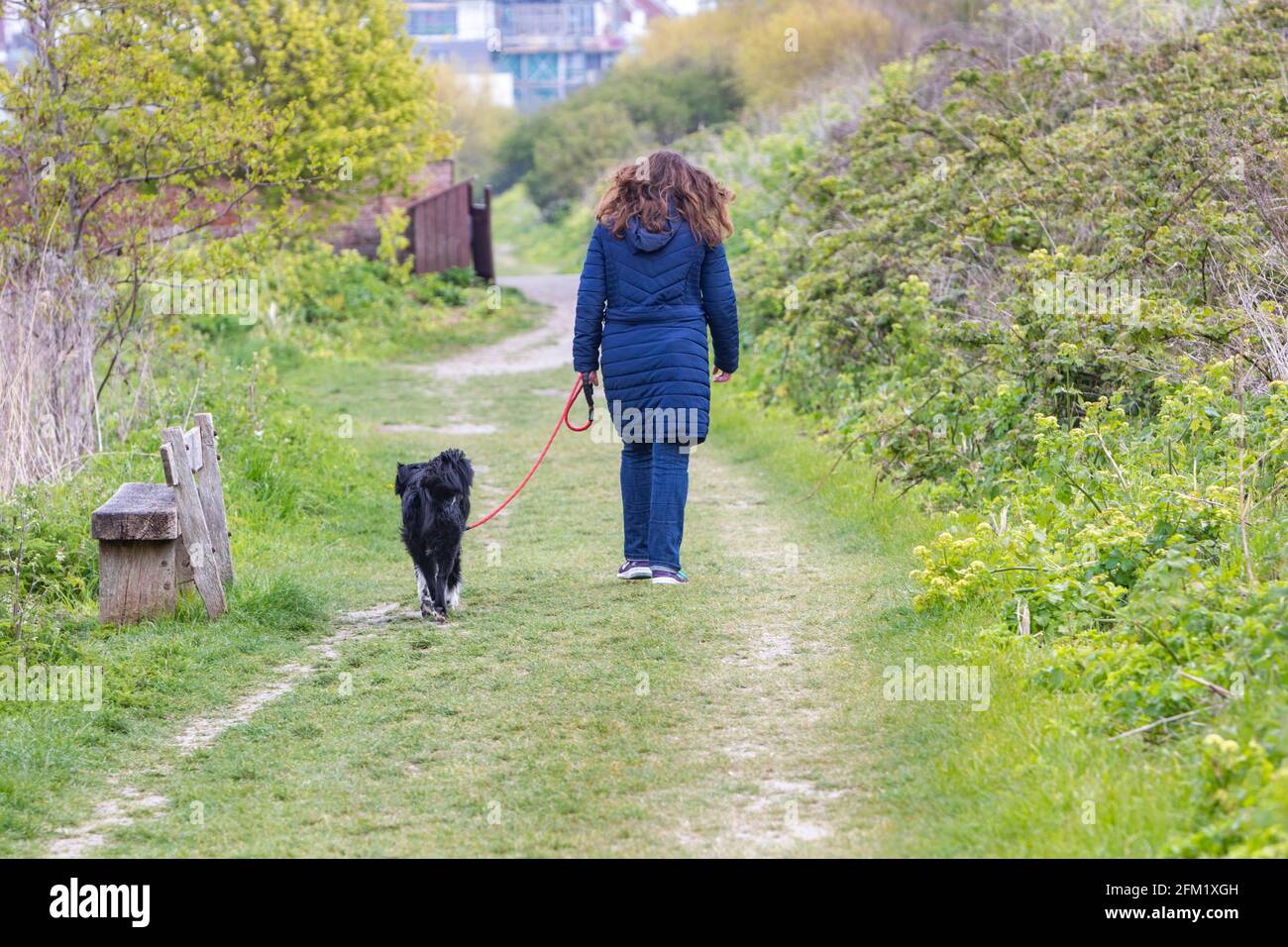A young woman walking her dog on a rural pathway Stock Photo - Alamy