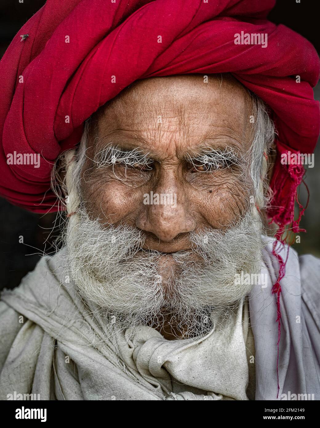 Two halves of this beard meet at a little gap on the chin of this man ...