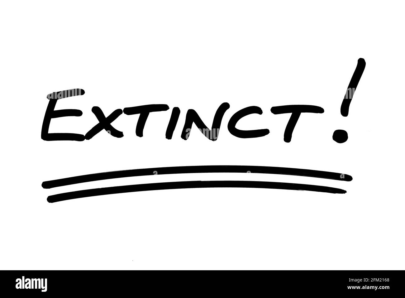 EXTINCT! handwritten on a white background Stock Photo - Alamy