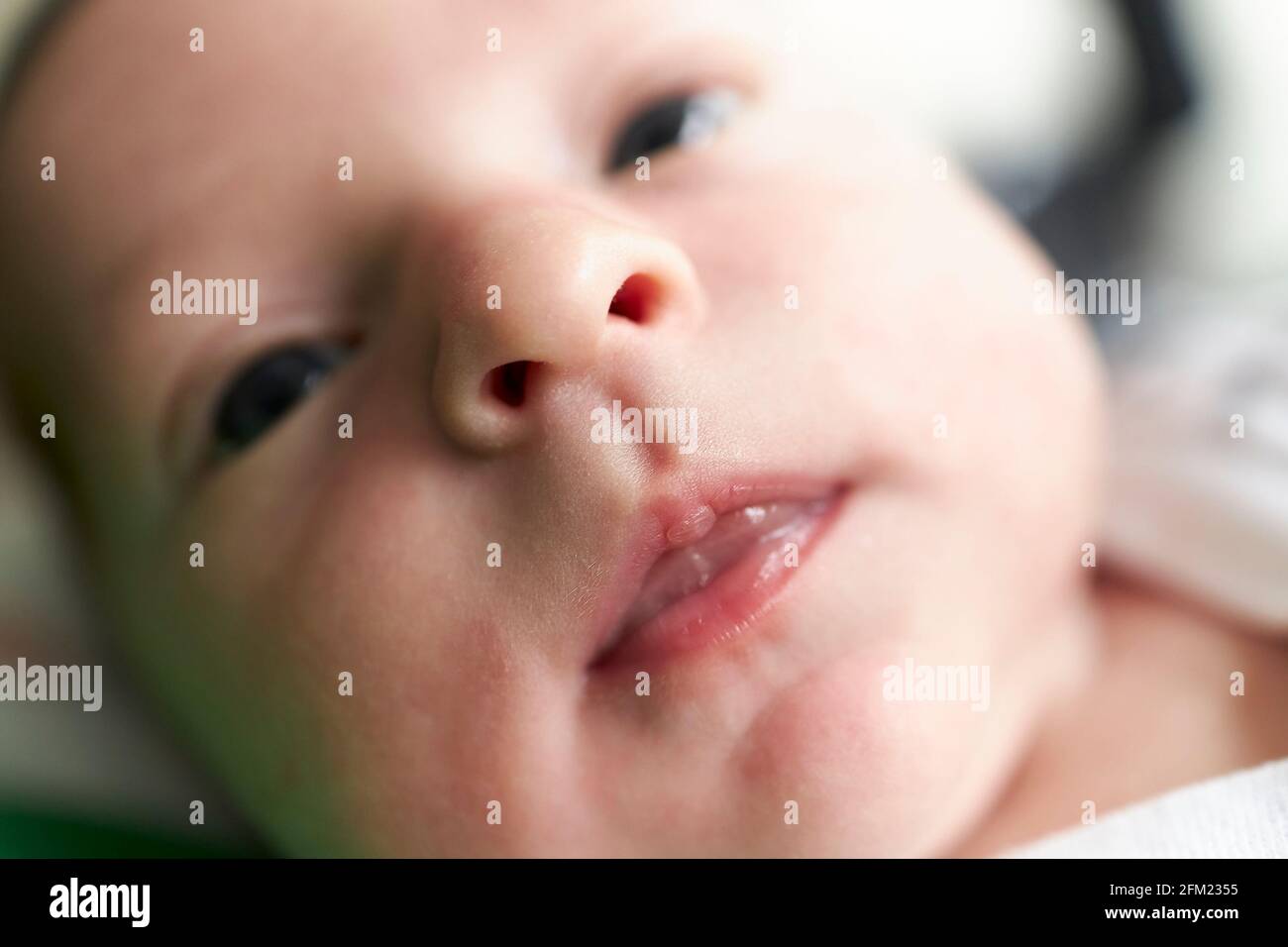 Closeup of a cute two weeks old baby Stock Photo - Alamy