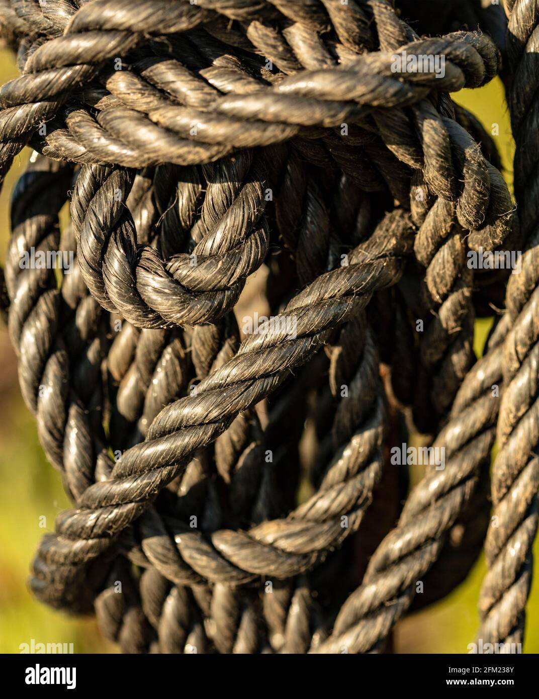 Textured rope fibers hi-res stock photography and images - Alamy