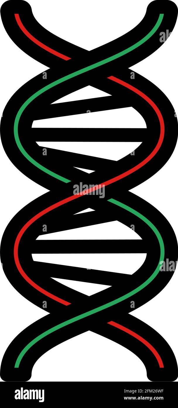 DNA Icon. Editable Bold Outline With Color Fill Design. Vector ...