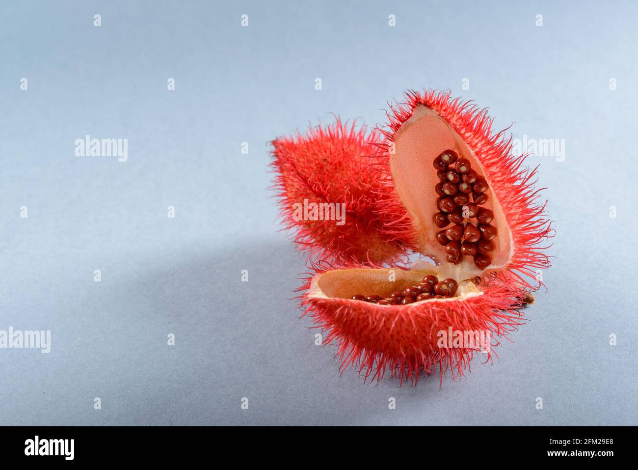 Annatto (Annatto). Its seeds are used as a natural food coloring ...
