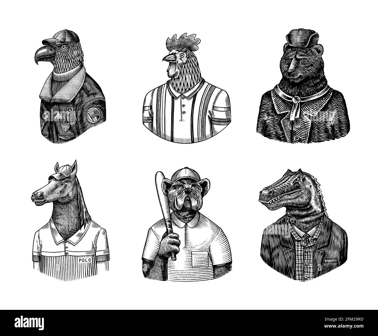 Polo bear Stock Vector Images - Alamy