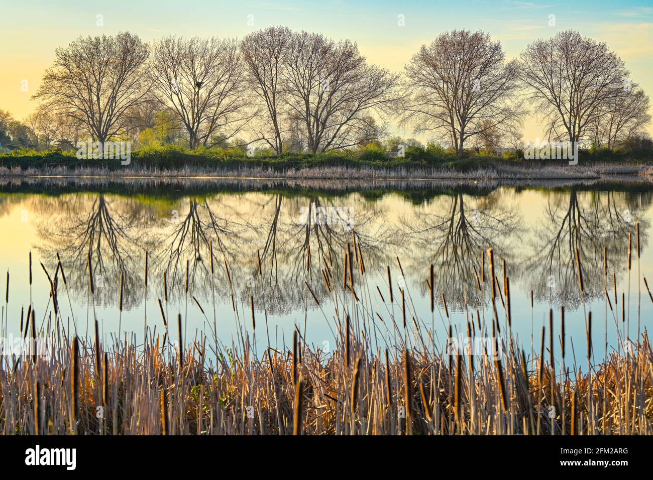 Iona beach regional park hi-res stock photography and images - Alamy