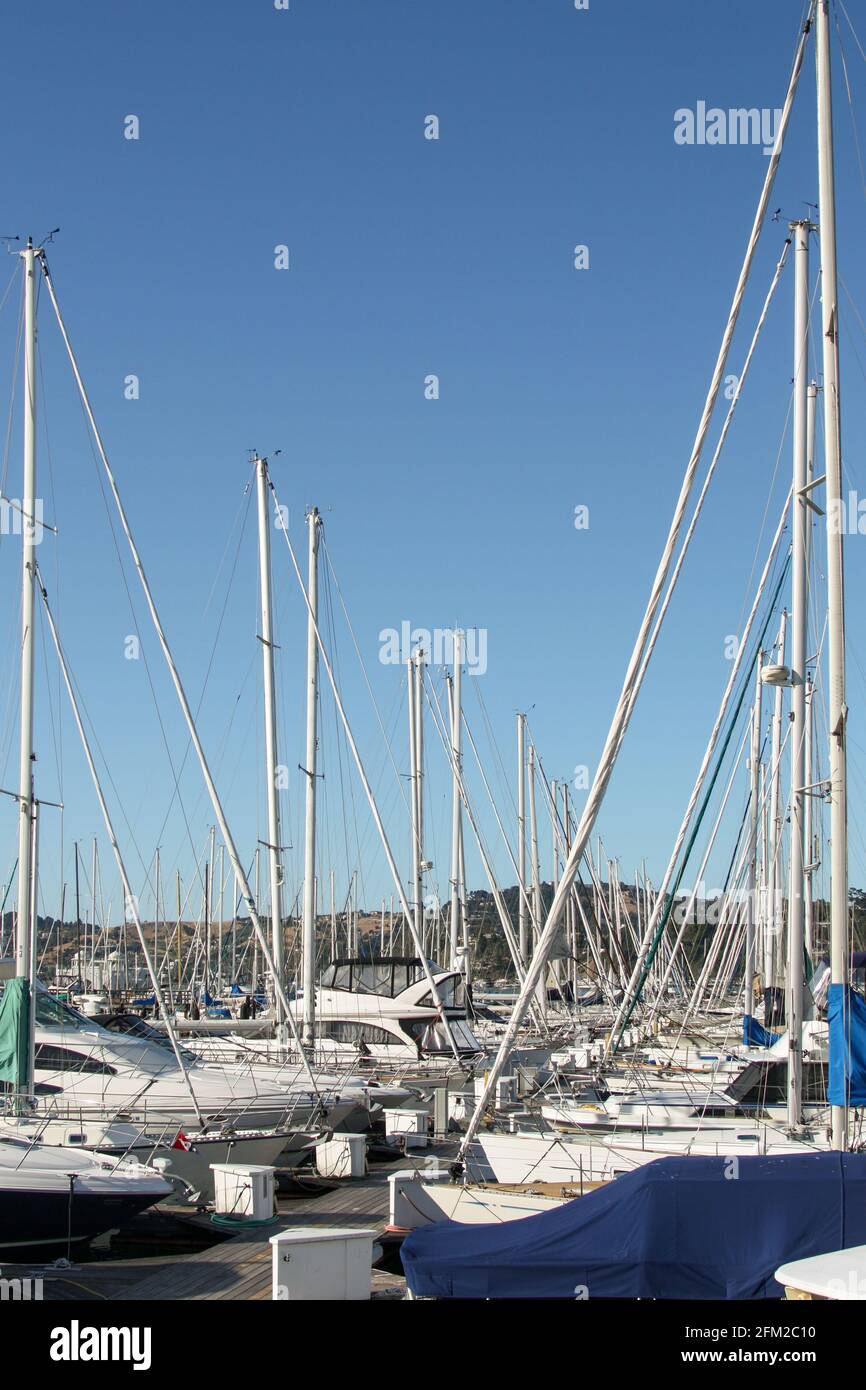 Yachts and boats in the marina of the lovely seaside town Sausalito ...