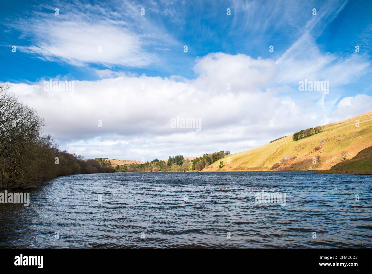 River ayr walk hi-res stock photography and images - Alamy