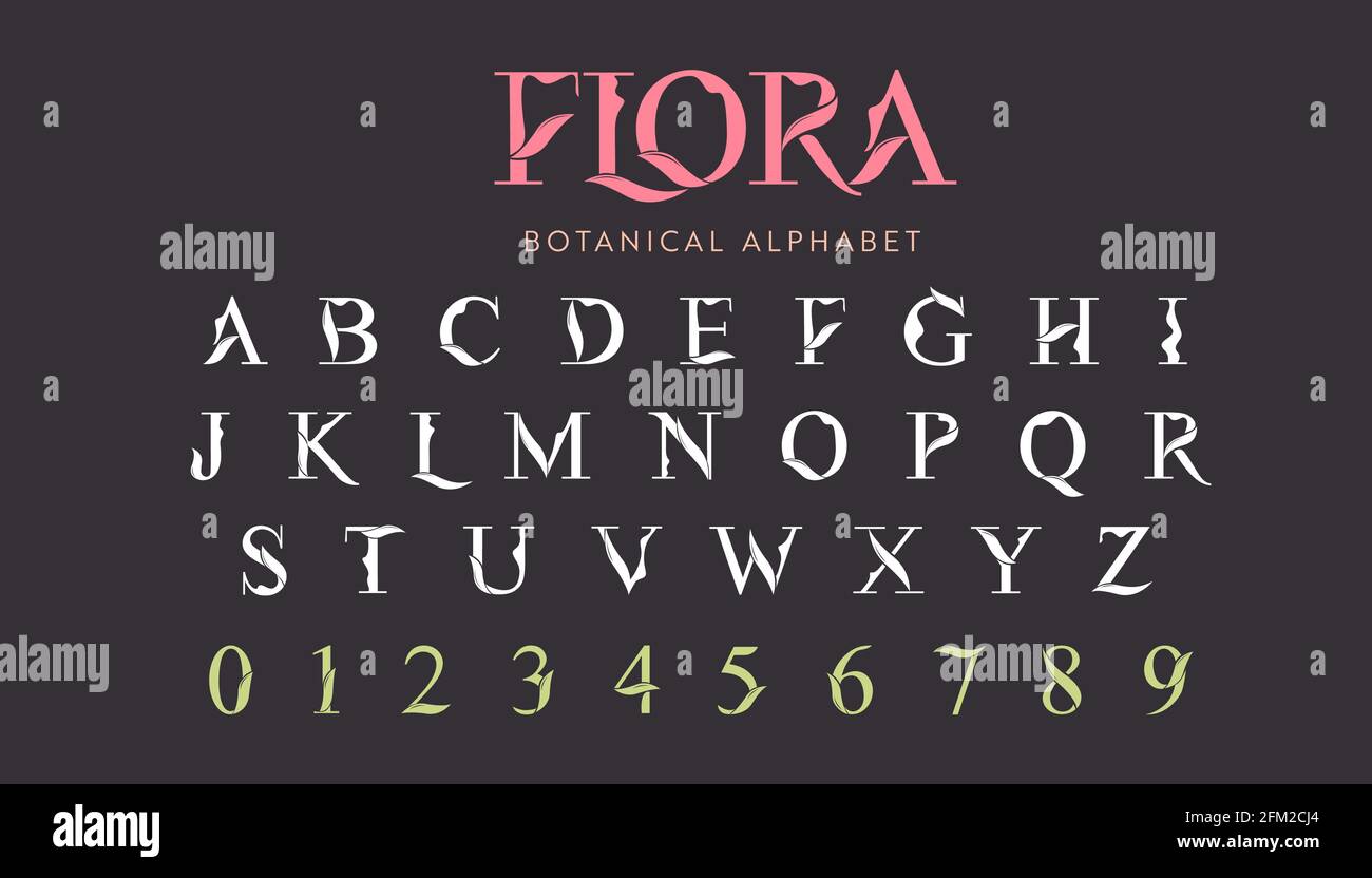 Vector Floral Alphabet with decorative leafs elements. Modern elegance ...