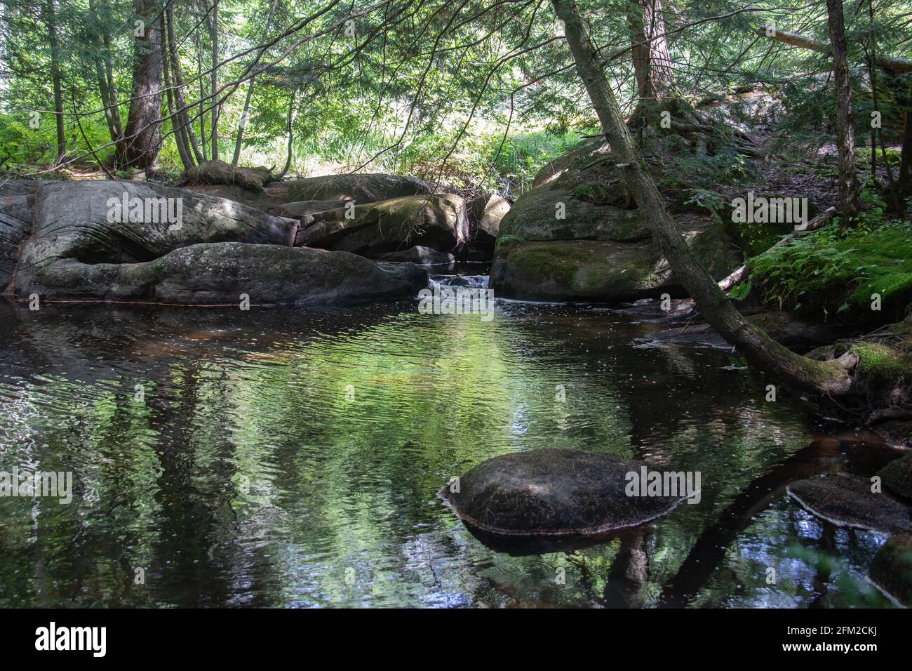 Trail through forest river hi-res stock photography and images - Alamy