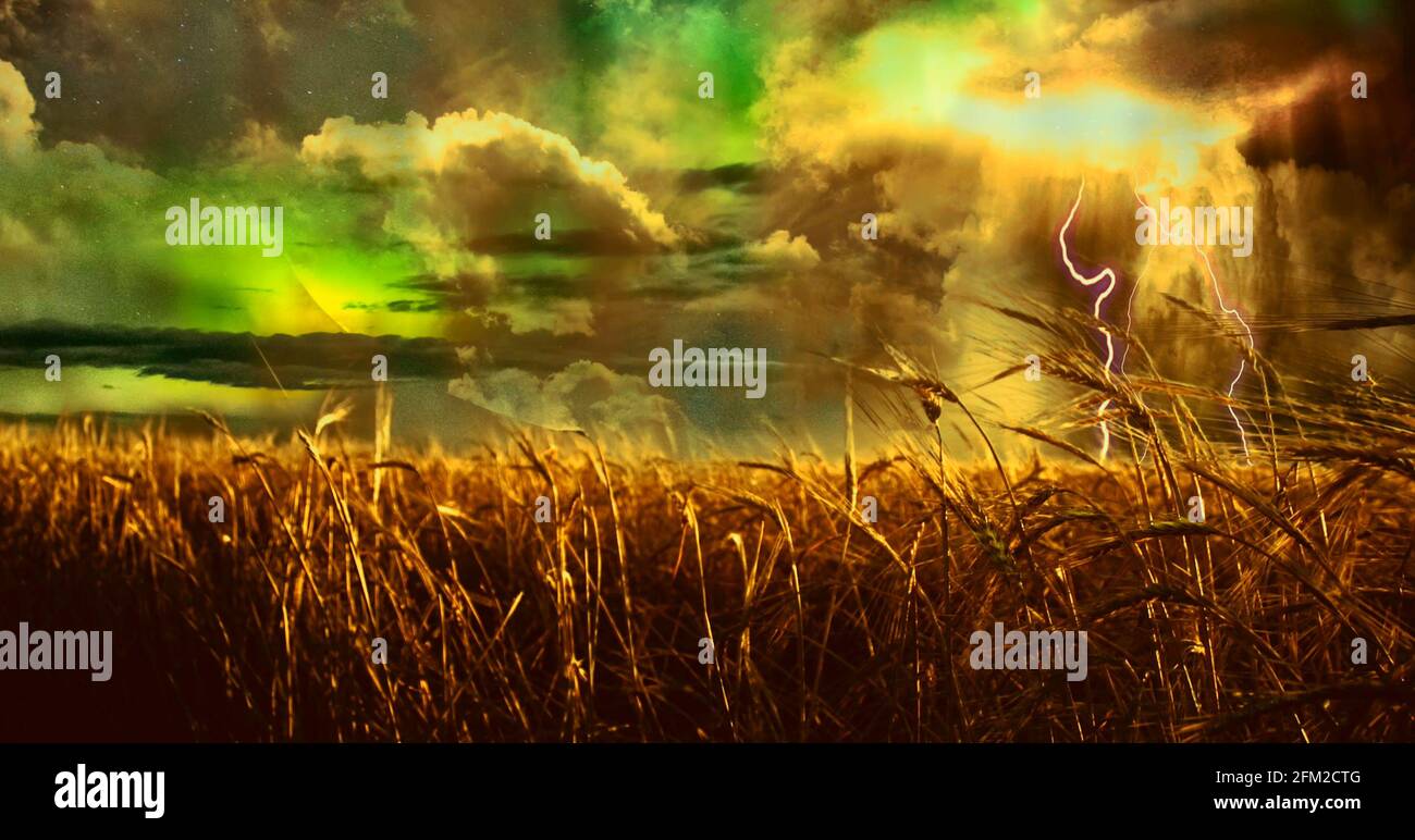 Lightning over wheat field hi-res stock photography and images - Alamy