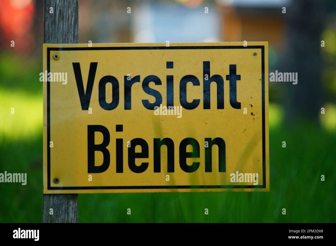 Sign 'Beware of the bees' Stock Photo - Alamy