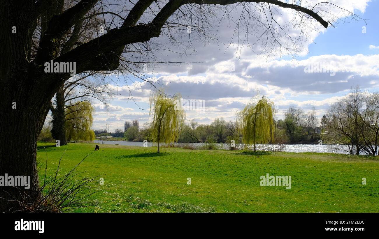 Beautiful scenery of the Main Area river in Hanau, Germany Stock Photo ...
