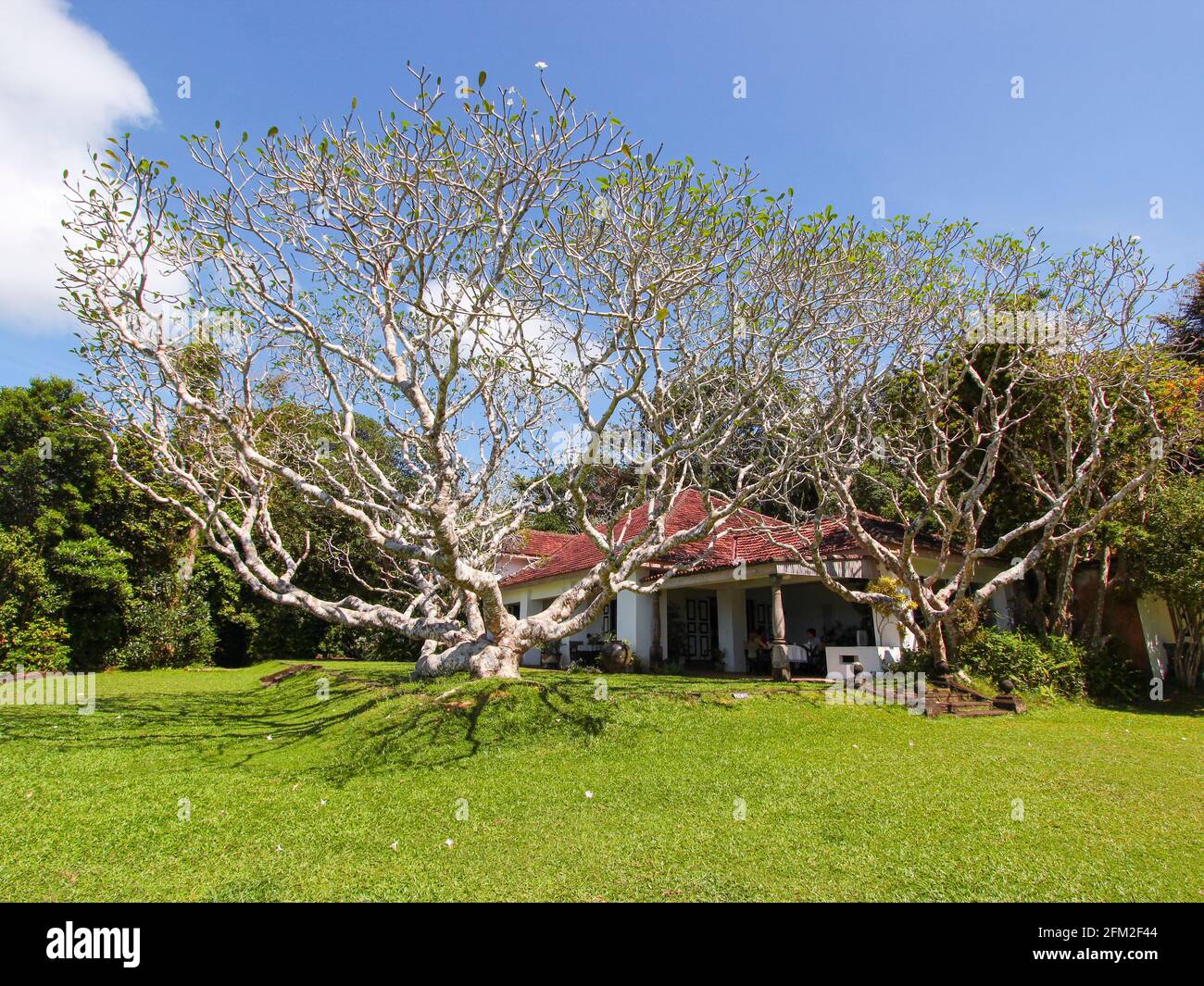 Exterior view of the home and lawn, with trees. At the famous architect ...