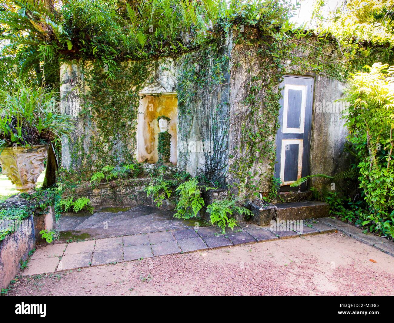 A sculpture bust sits in an alcove, green vines growing all around. At ...