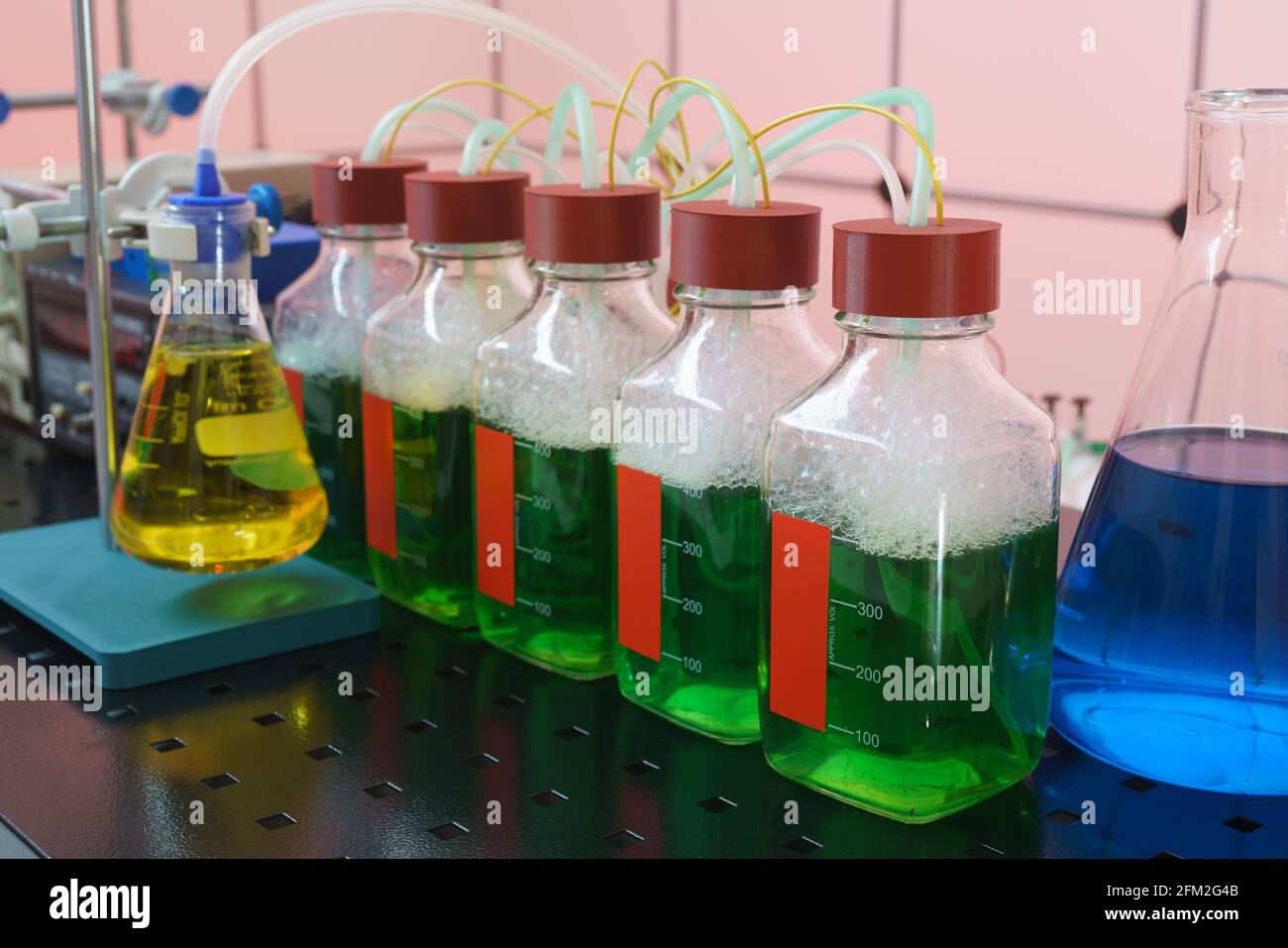 Experiments with obtaining electricity and bacteria processing ...