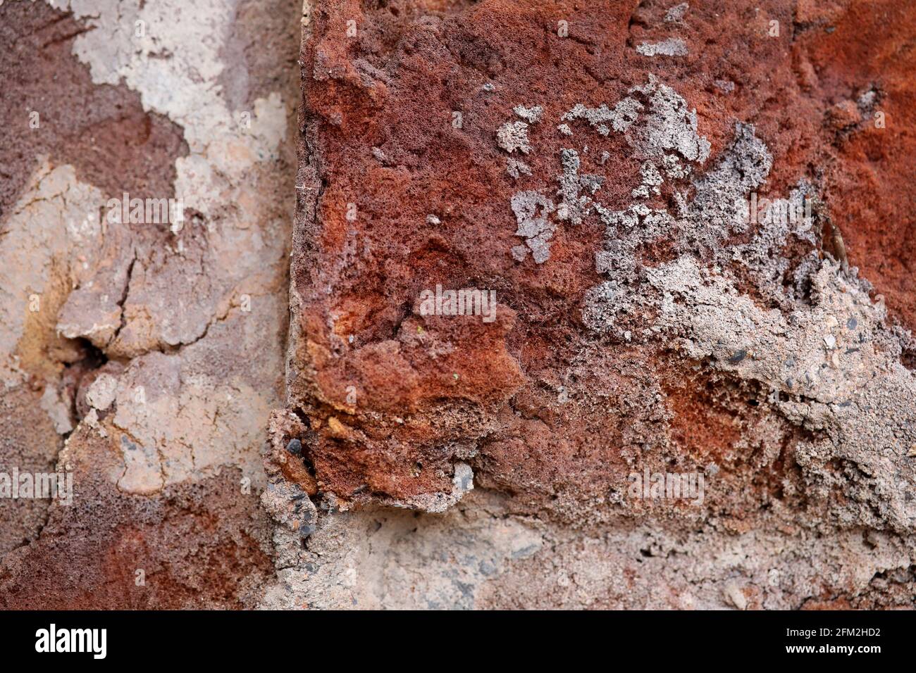 General views of the Weald & Downland Living Museum in Singleton ...