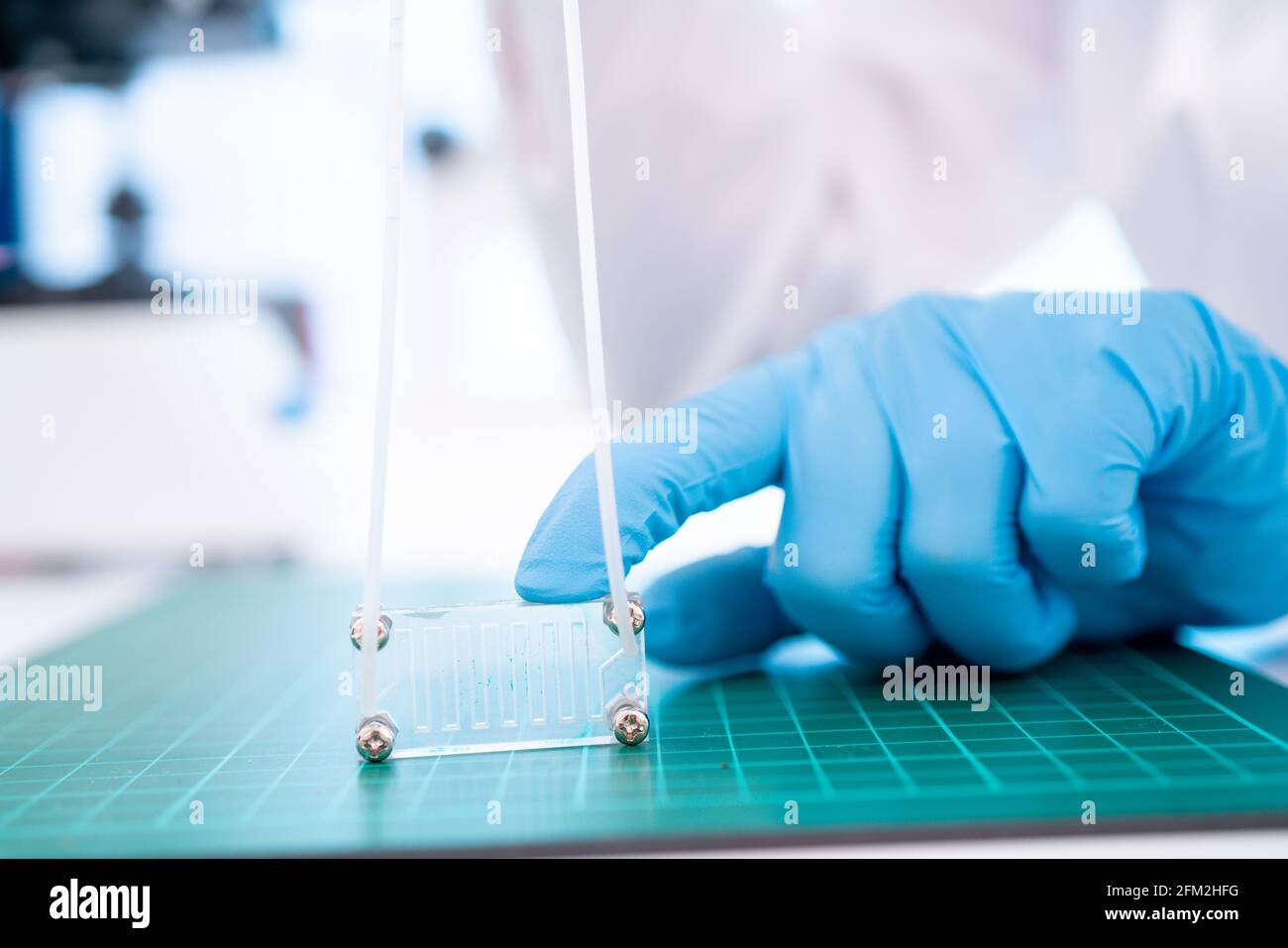 Organ-on-a-chip (OOC) - microfluidic device chip that simulates ...