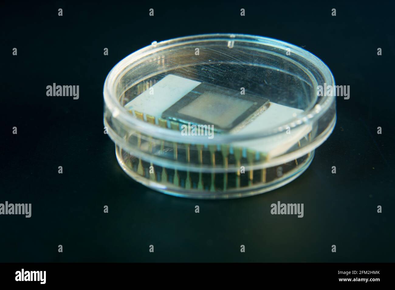 Samples of semiconductor microcircuits in the semiconductor electronics ...