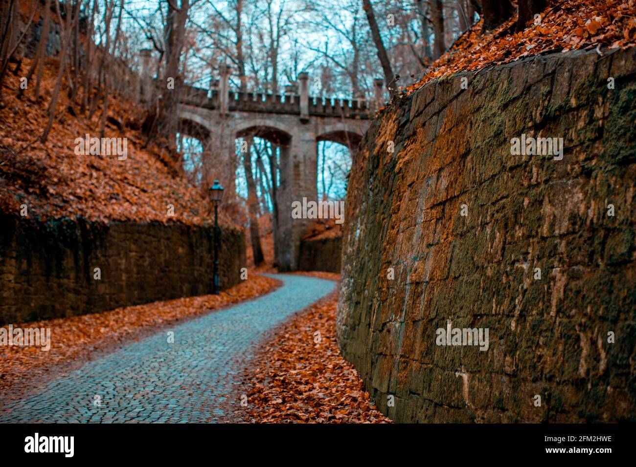 Ancient aqueduct across a ravine in autumn forest Stock Photo - Alamy