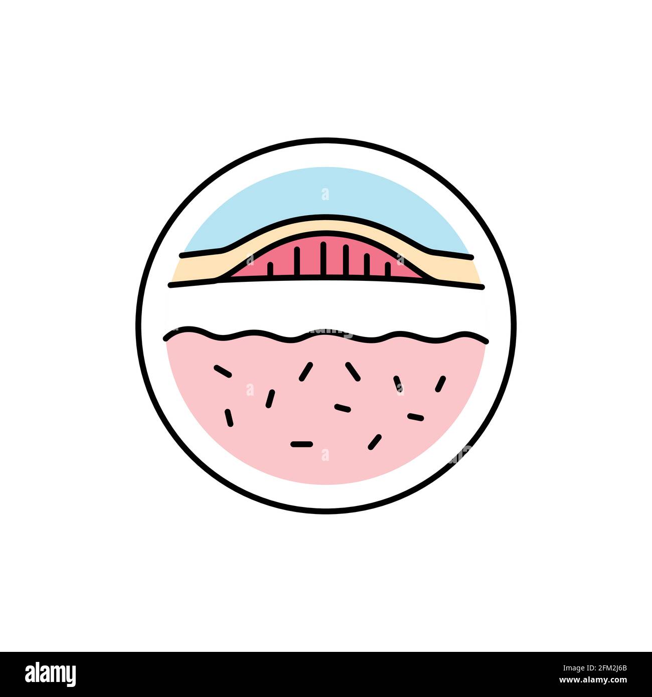 Bruise Color Line Icon Dermatology Disease Isolated Vector Element