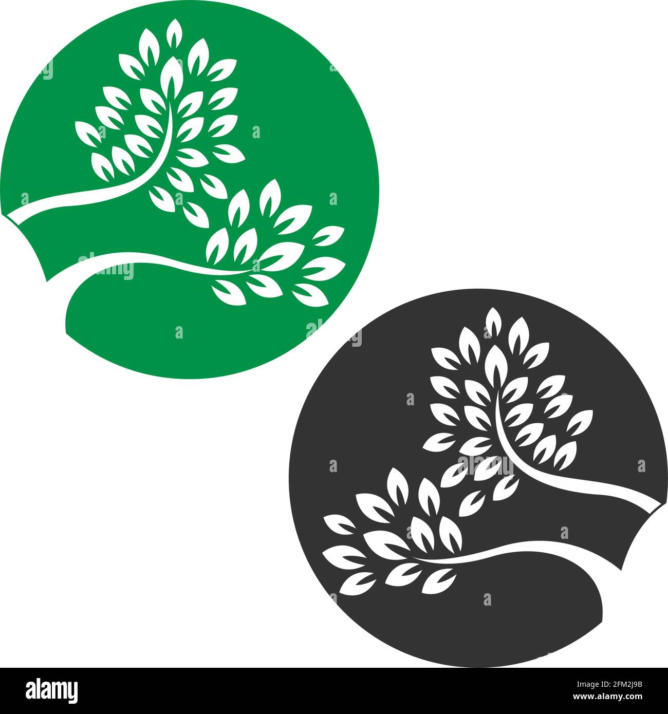 Tree icon Tree branch design vector illustration template Stock Vector ...