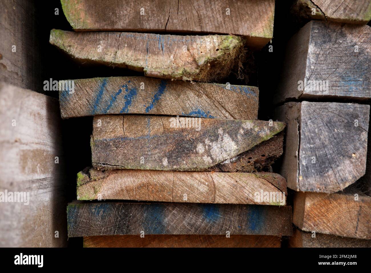 General views of the Weald & Downland Living Museum in Singleton ...