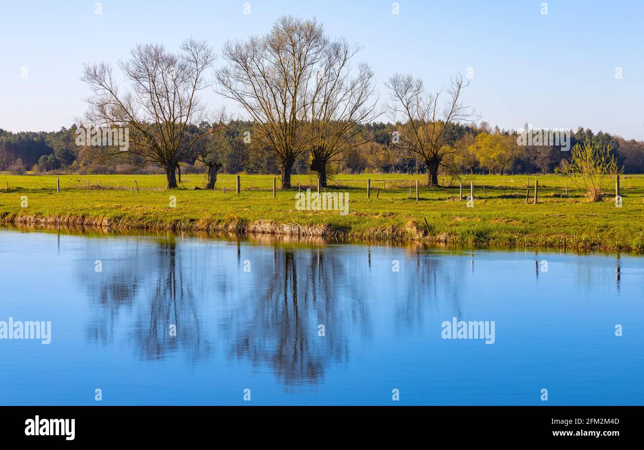 Early spring panoramic view of Narew river valley wetlands and nature ...