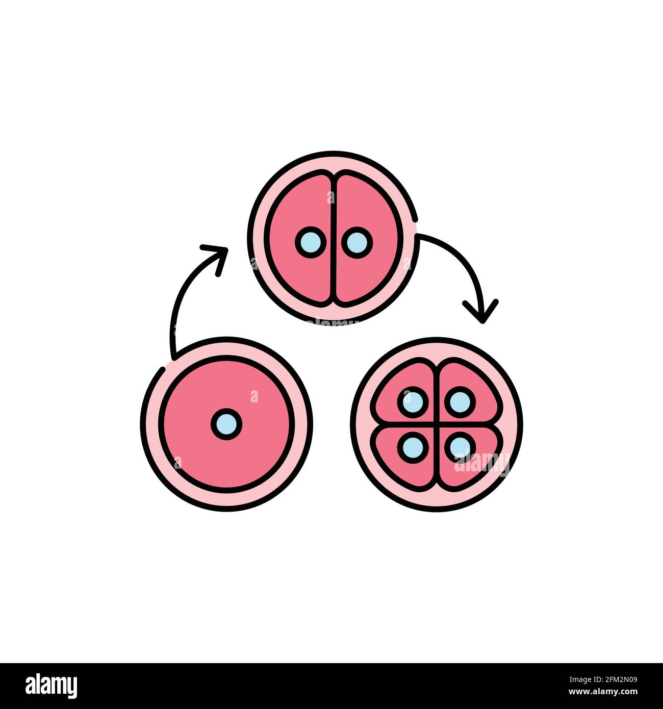Cell division Stock Vector Images - Alamy