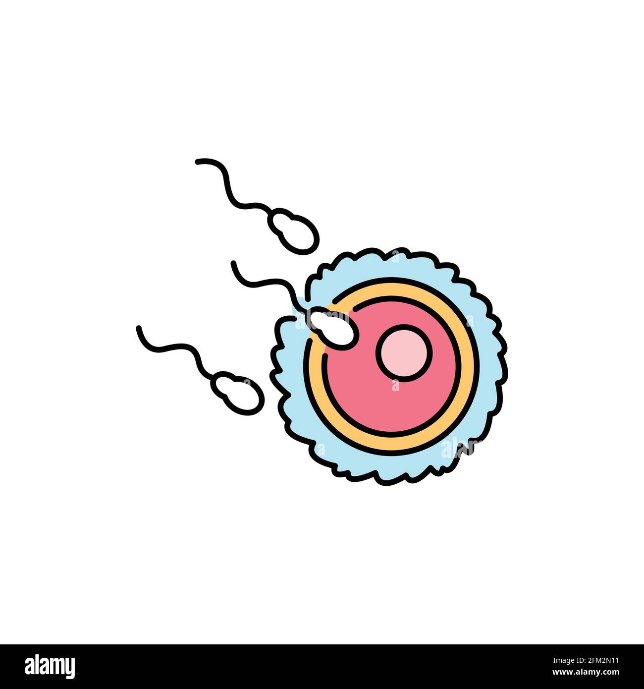 Ovum fertilization olor line icon. Conceiving. Pictogram for web page ...