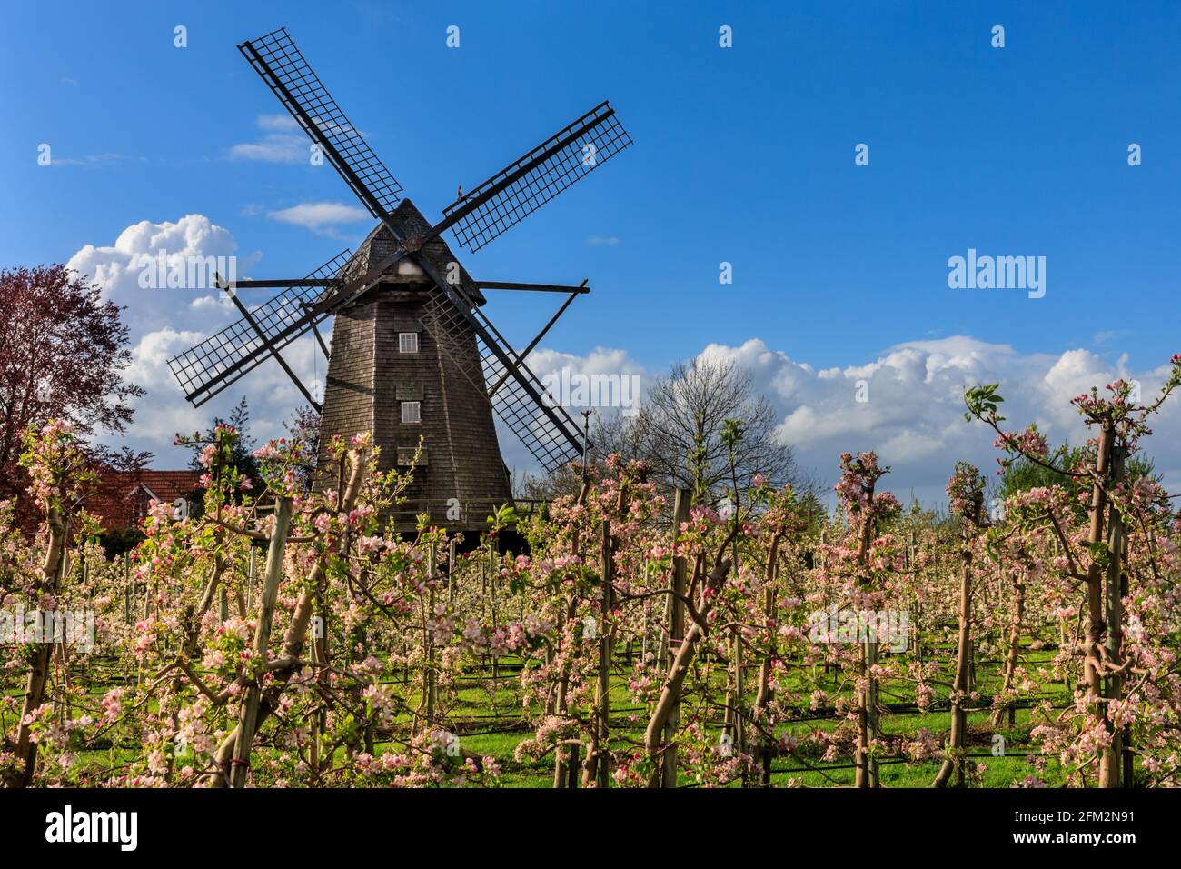 Lette windmill hi-res stock photography and images - Alamy