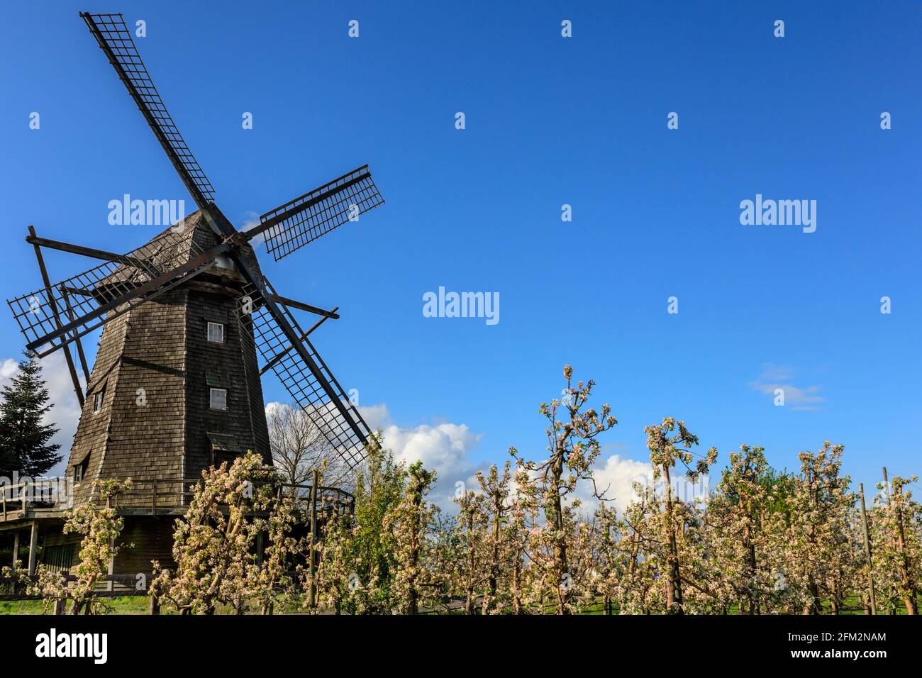 Delayed spring hi-res stock photography and images - Alamy
