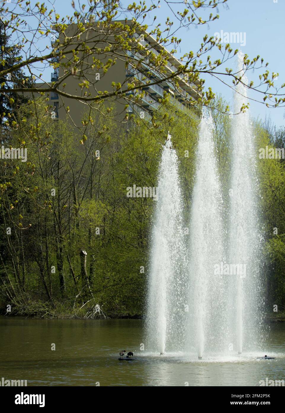 Vertical shot of a water fountain in a lake in front of a tall building ...