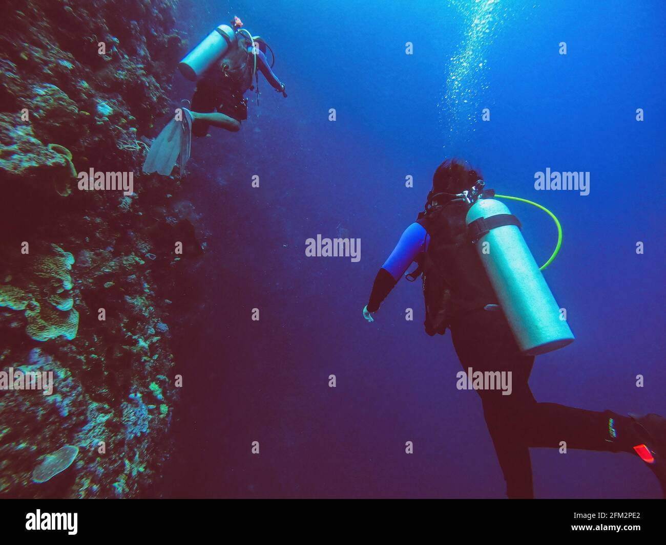 View at two men scuba diving deep in the underwater by the corals Stock ...